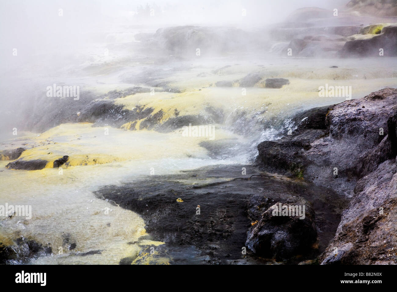 Hot springs, Rotorua, New Zealand Stock Photo - Alamy