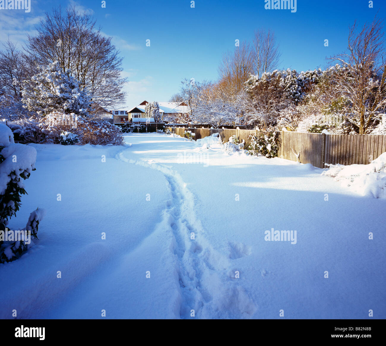 Sunny back garden england hi-res stock photography and images - Alamy