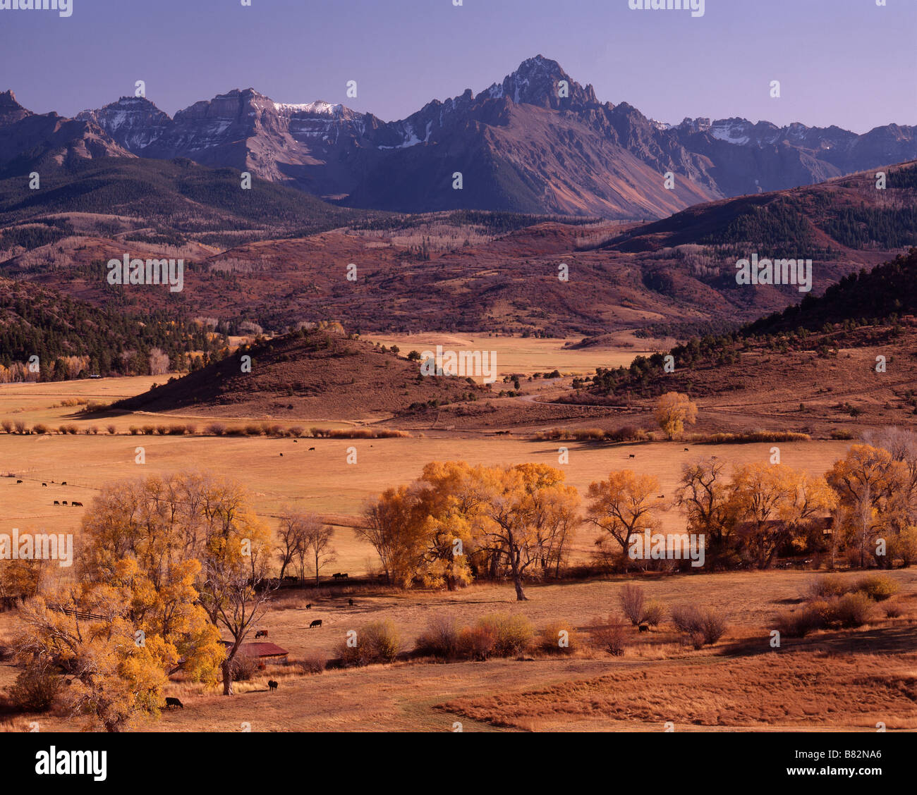 Ranch with Mount Sneffels Stock Photo - Alamy