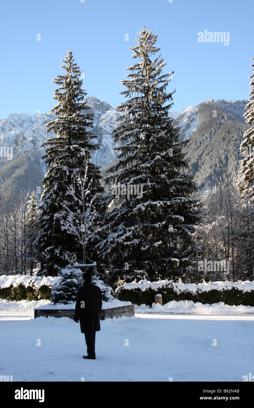 Cold france ice weather snow capped trees hi-res stock photography and ...