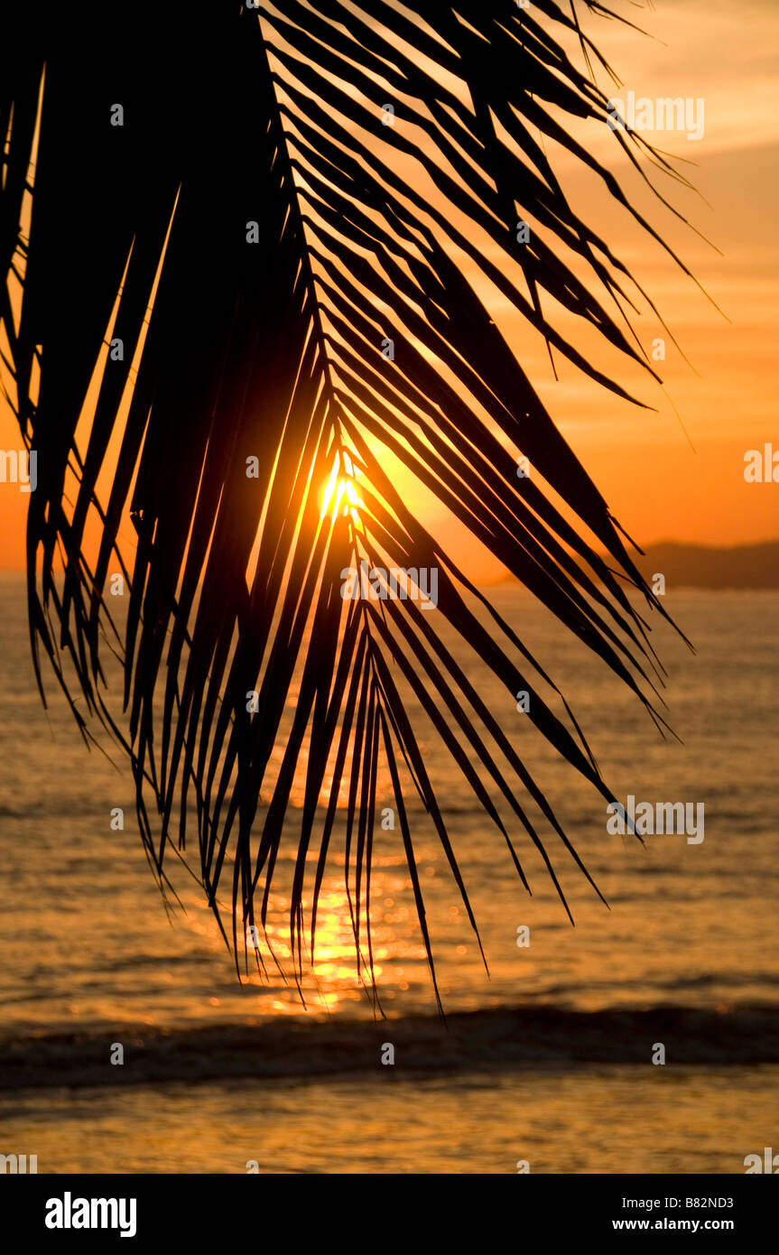 Sinola hi-res stock photography and images - Alamy