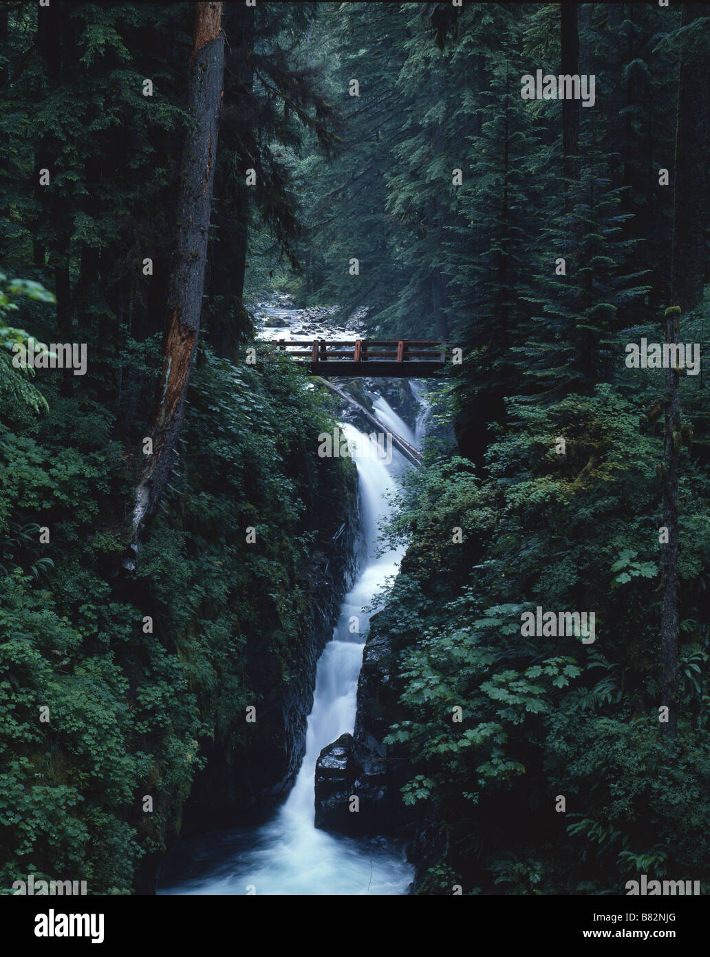Waterfall through Forest, WA Stock Photo - Alamy