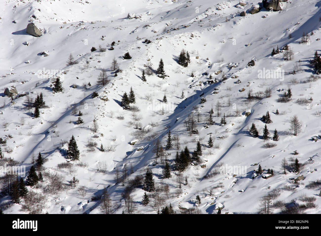 Slope covered hi-res stock photography and images - Alamy