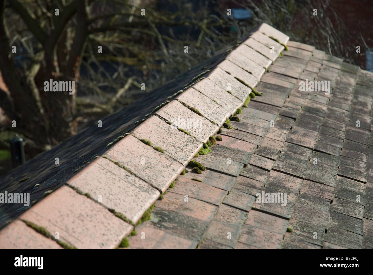 Sunlight roof hi-res stock photography and images - Alamy