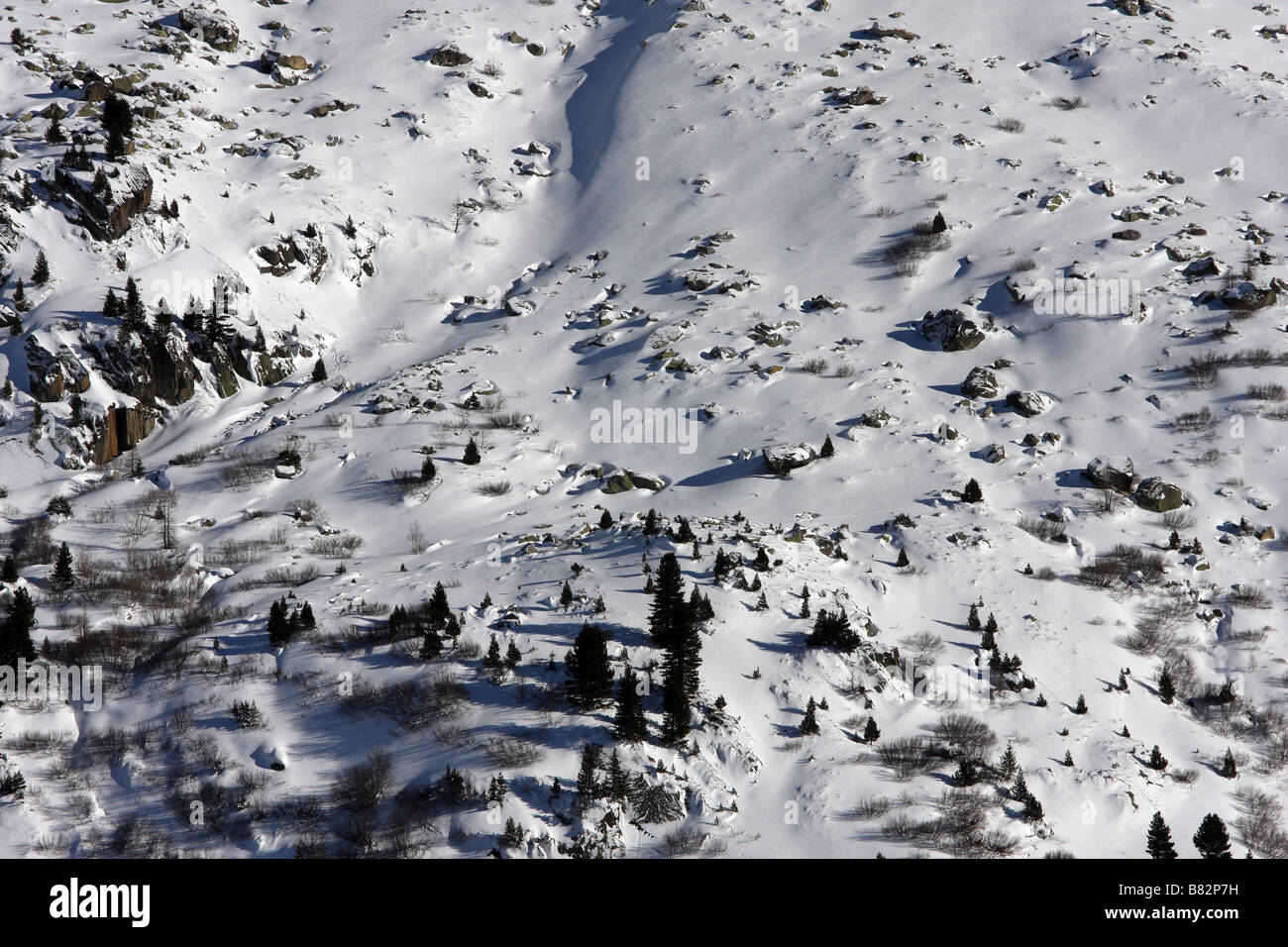 Slope covered hi-res stock photography and images - Alamy