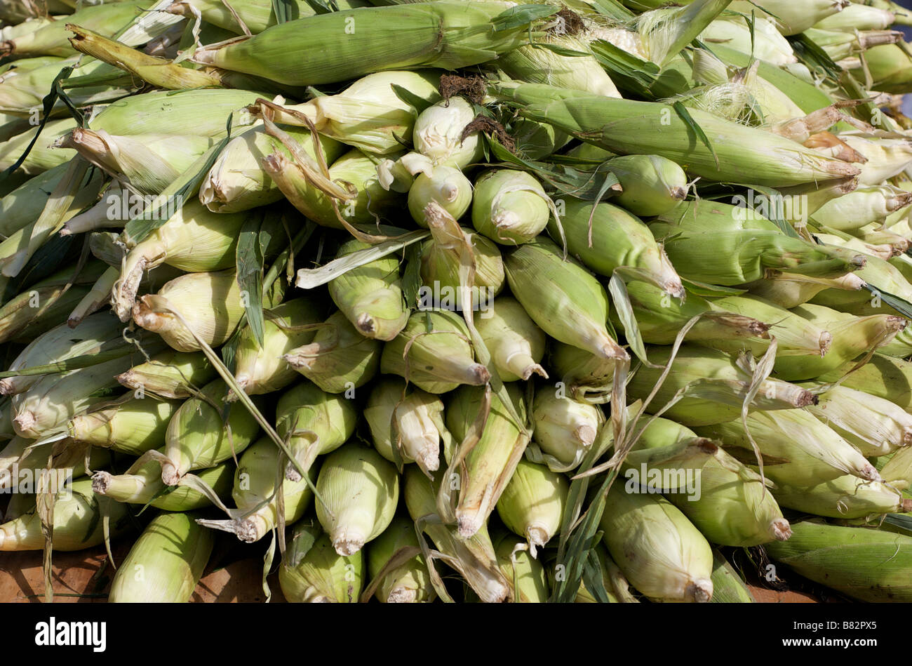 Corn stacks hi-res stock photography and images - Alamy