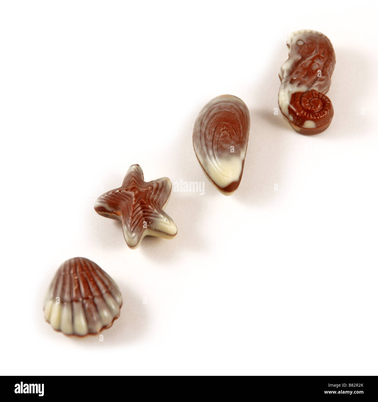 A selection of chocolate seashells Stock Photo - Alamy