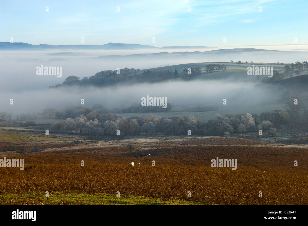 Black mountains wales winter blue sky hi-res stock photography and ...