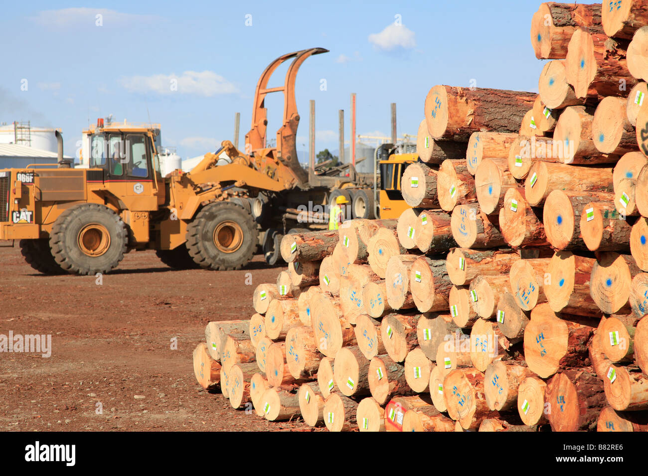 Logs stacked in pile hi-res stock photography and images - Alamy