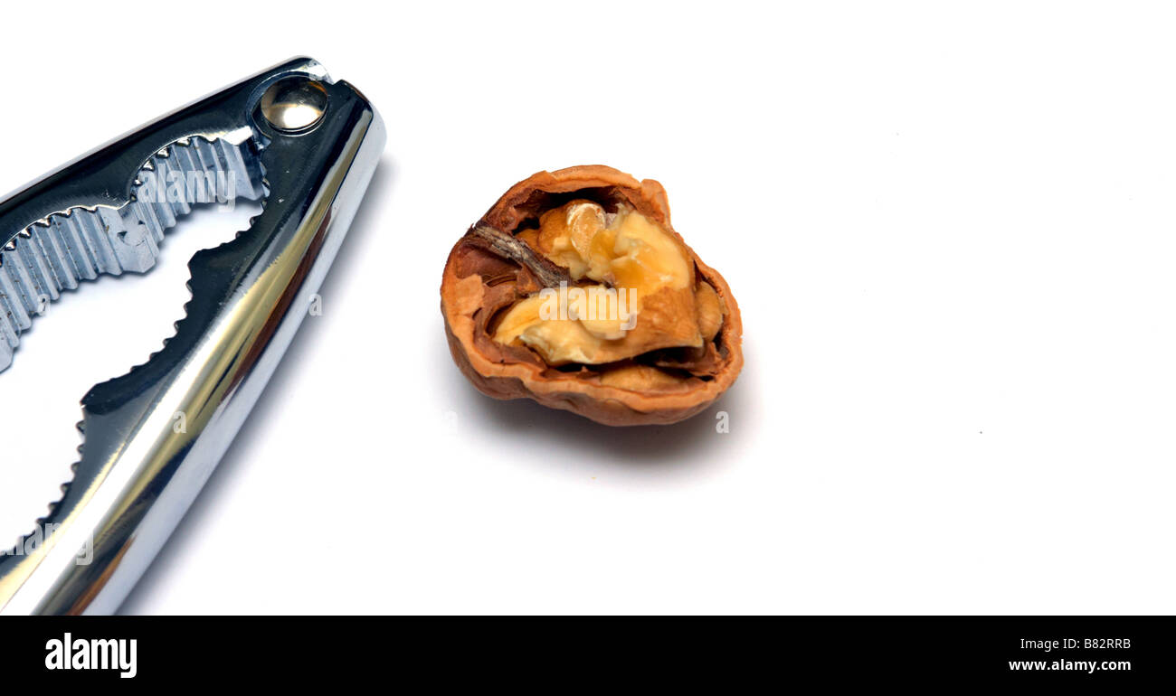 Photo of a nutcracker and an open walnut on a white background Stock ...