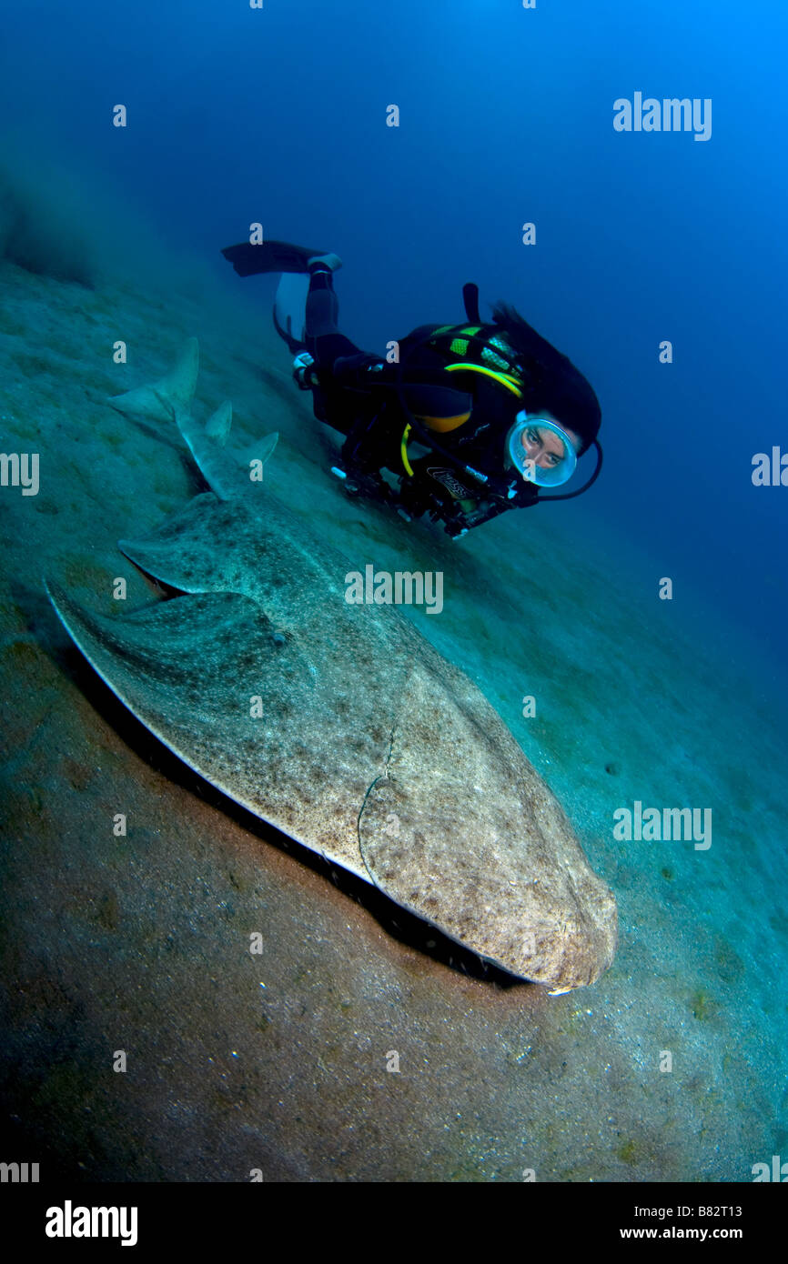 Female diver with oval mask hi-res stock photography and images - Alamy