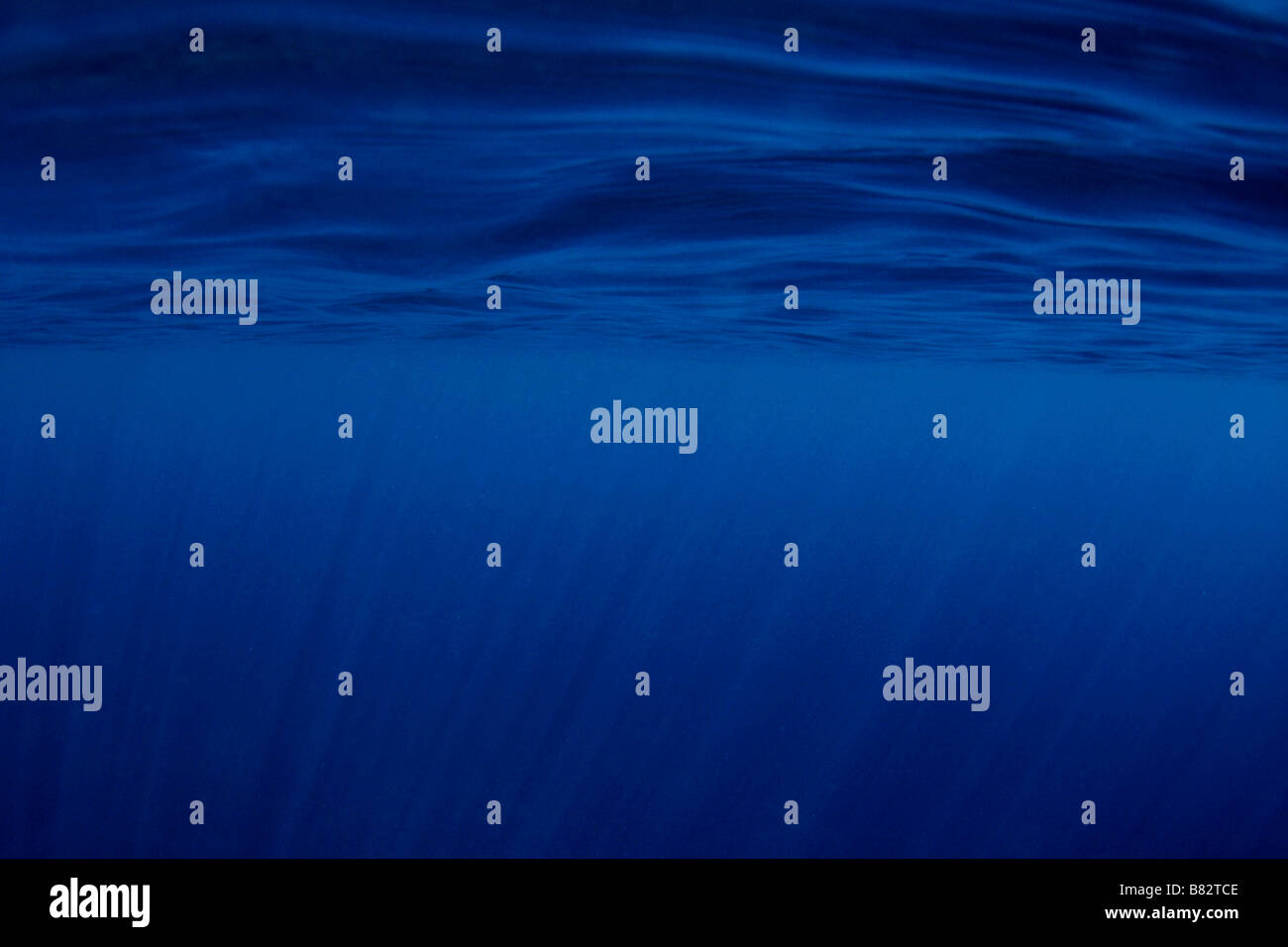 light beams going through the surface of an empty ocean, sea, open ...