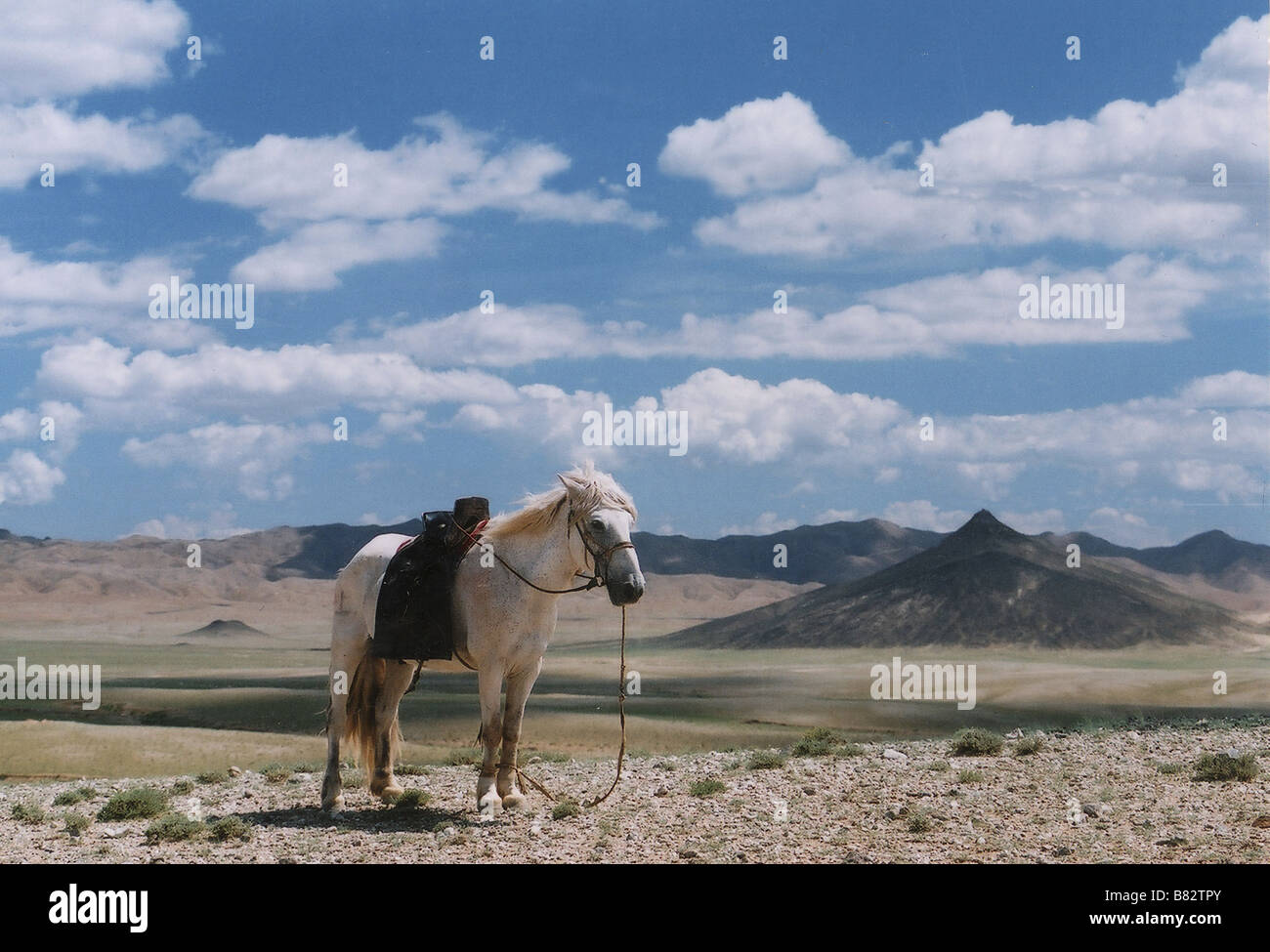 Season of the horse Ji feng zhon de ma Year: 2005 - China Director: Cai ...