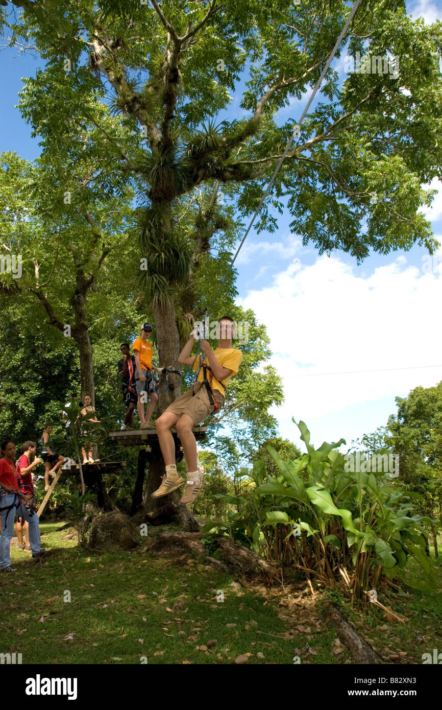 Guadeloupe Caribbean French Antilles Canopy tour zip line, fun ...