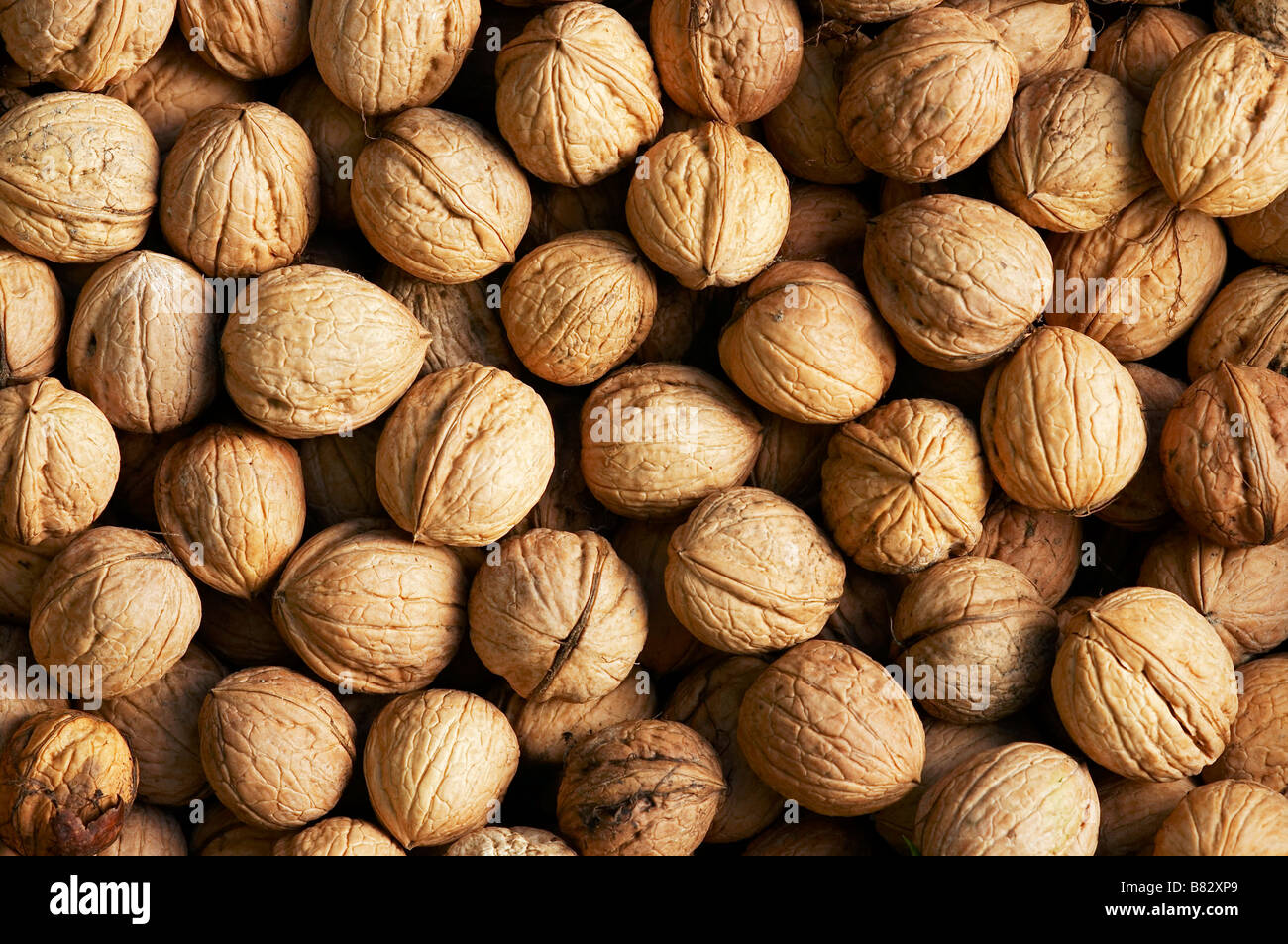 Symbol season hi-res stock photography and images - Alamy