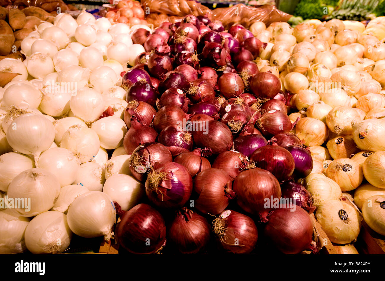 Red red onions hi-res stock photography and images - Alamy
