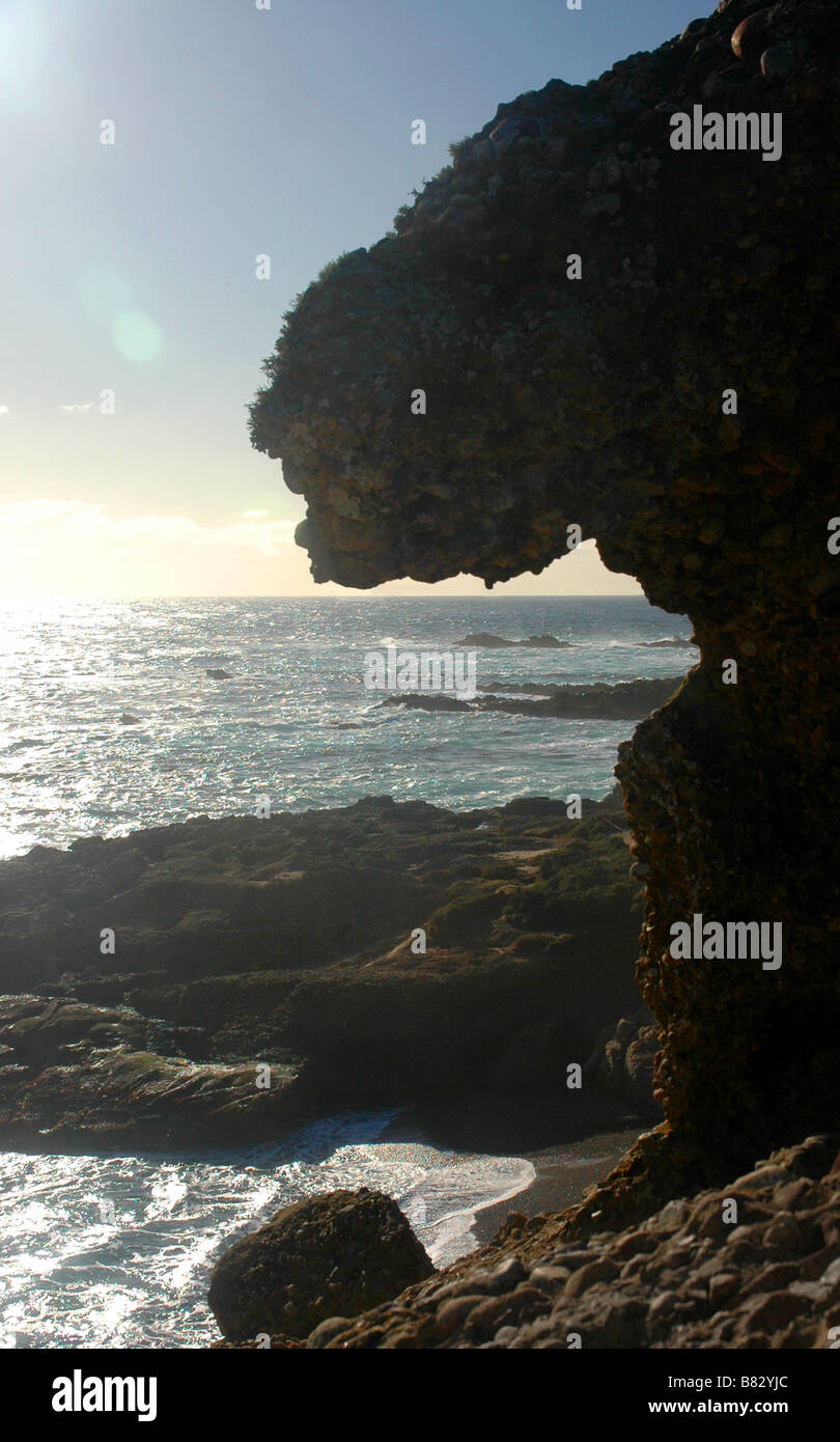 Point Lobos State Park, California Stock Photo - Alamy