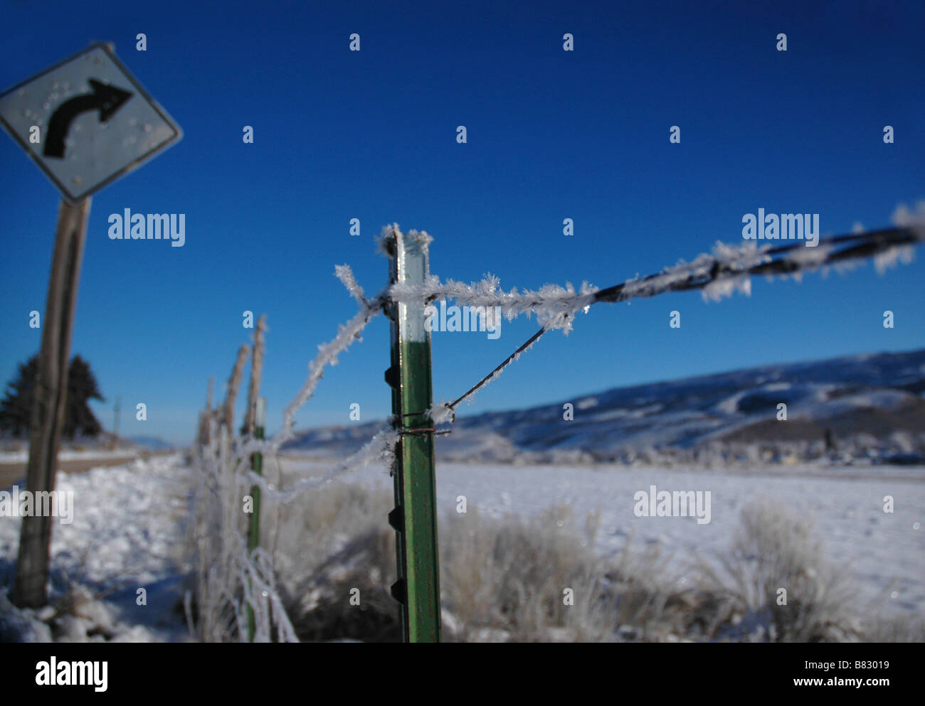 A barbed wire fence covered in hoarfrost in the morning, with a sharp ...