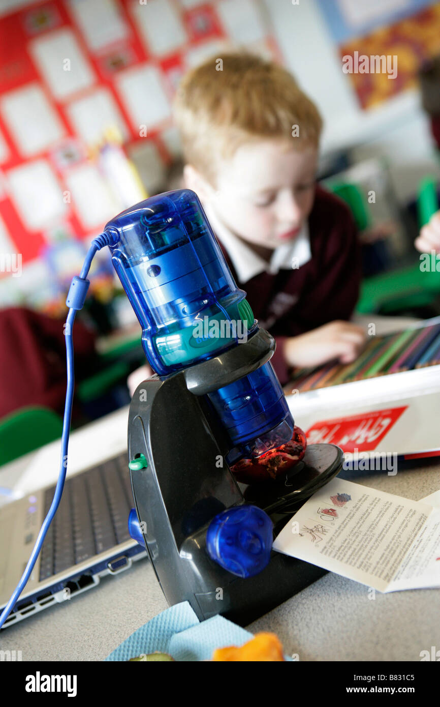 Primary school pupils using computers hi-res stock photography and ...