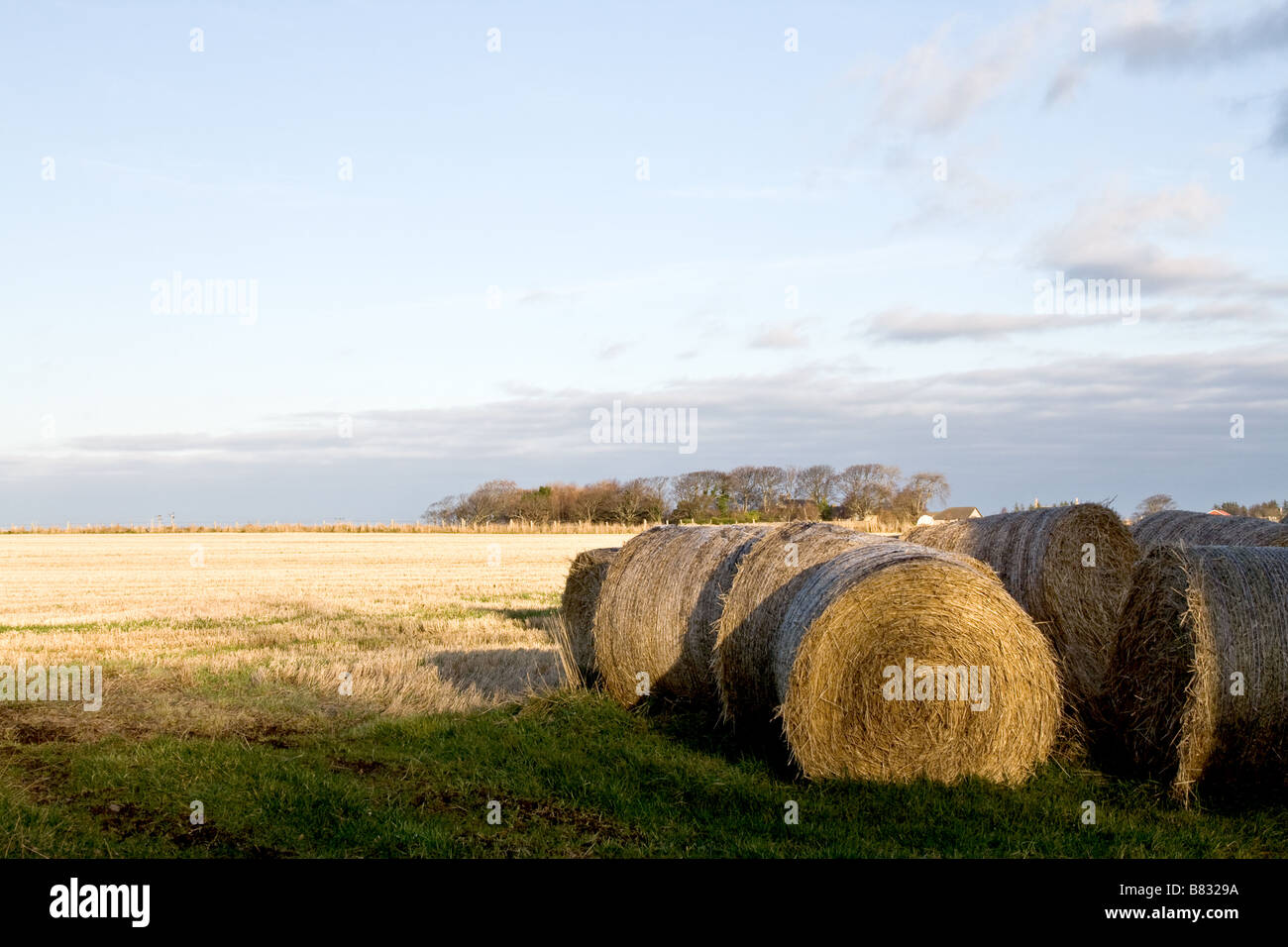 Field and hay hi-res stock photography and images - Alamy