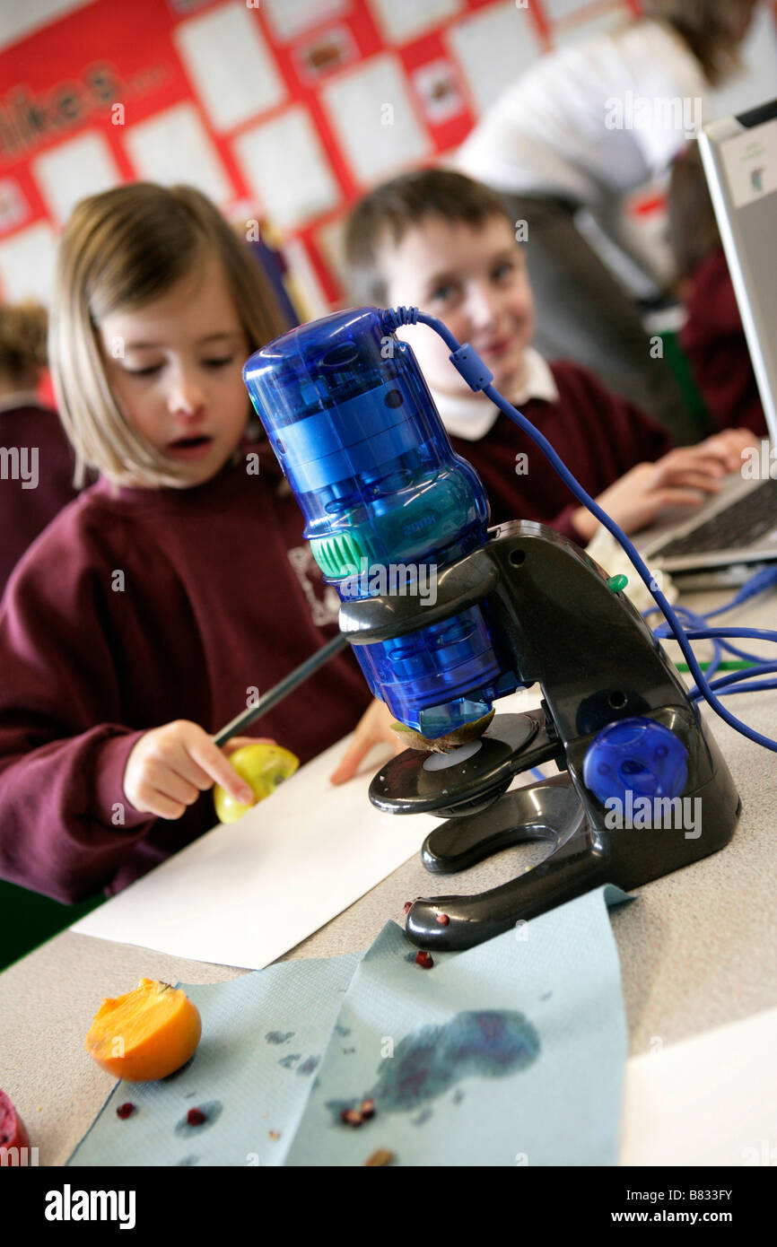 primary school pupils using laptop computers in classroom Stock Photo ...