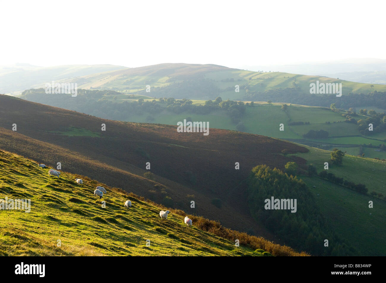 Welsh wales hi-res stock photography and images - Alamy