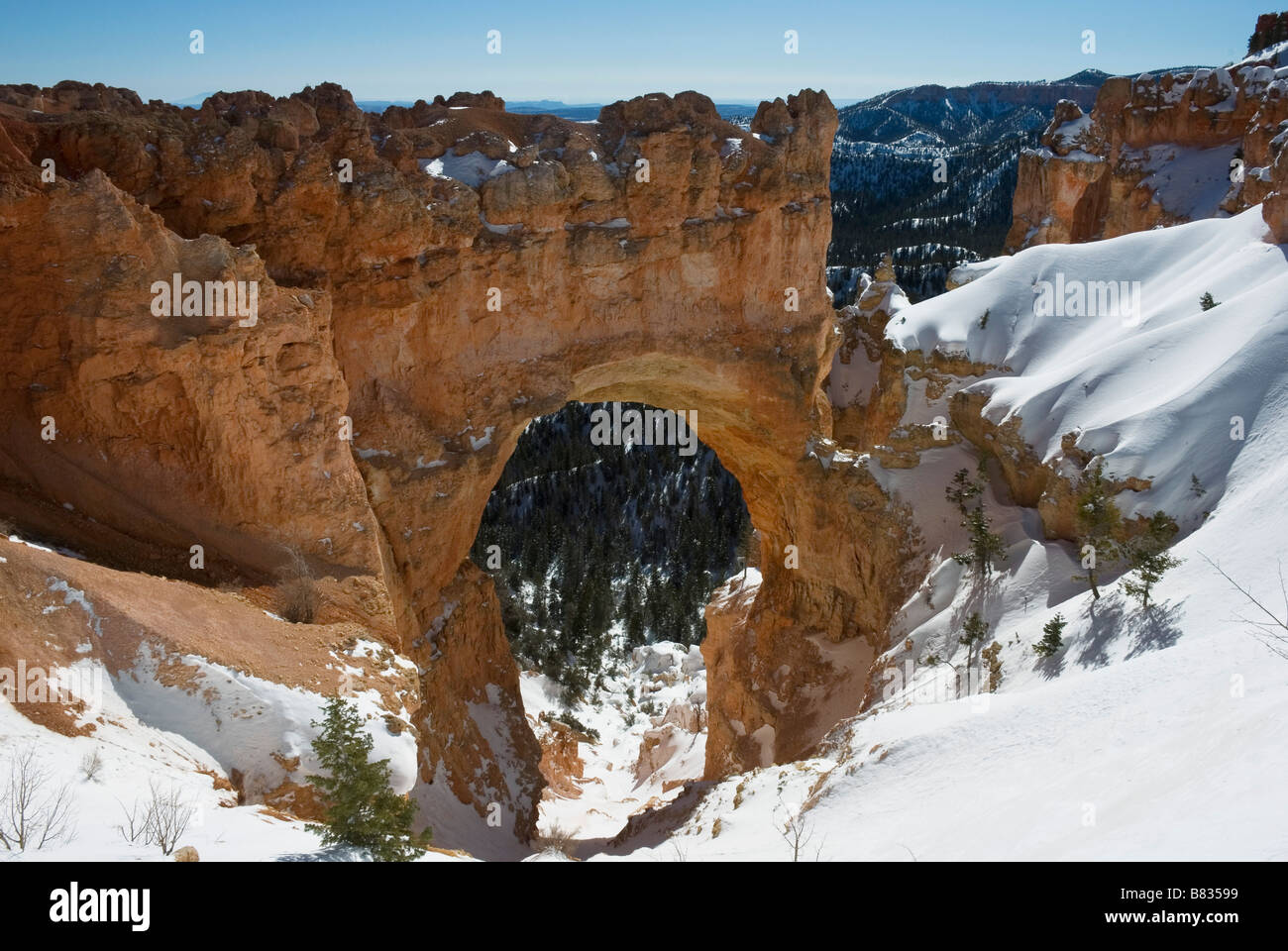 Natural Bridge, Bryce Canyon National Park, Utah, USA Stock Photo - Alamy