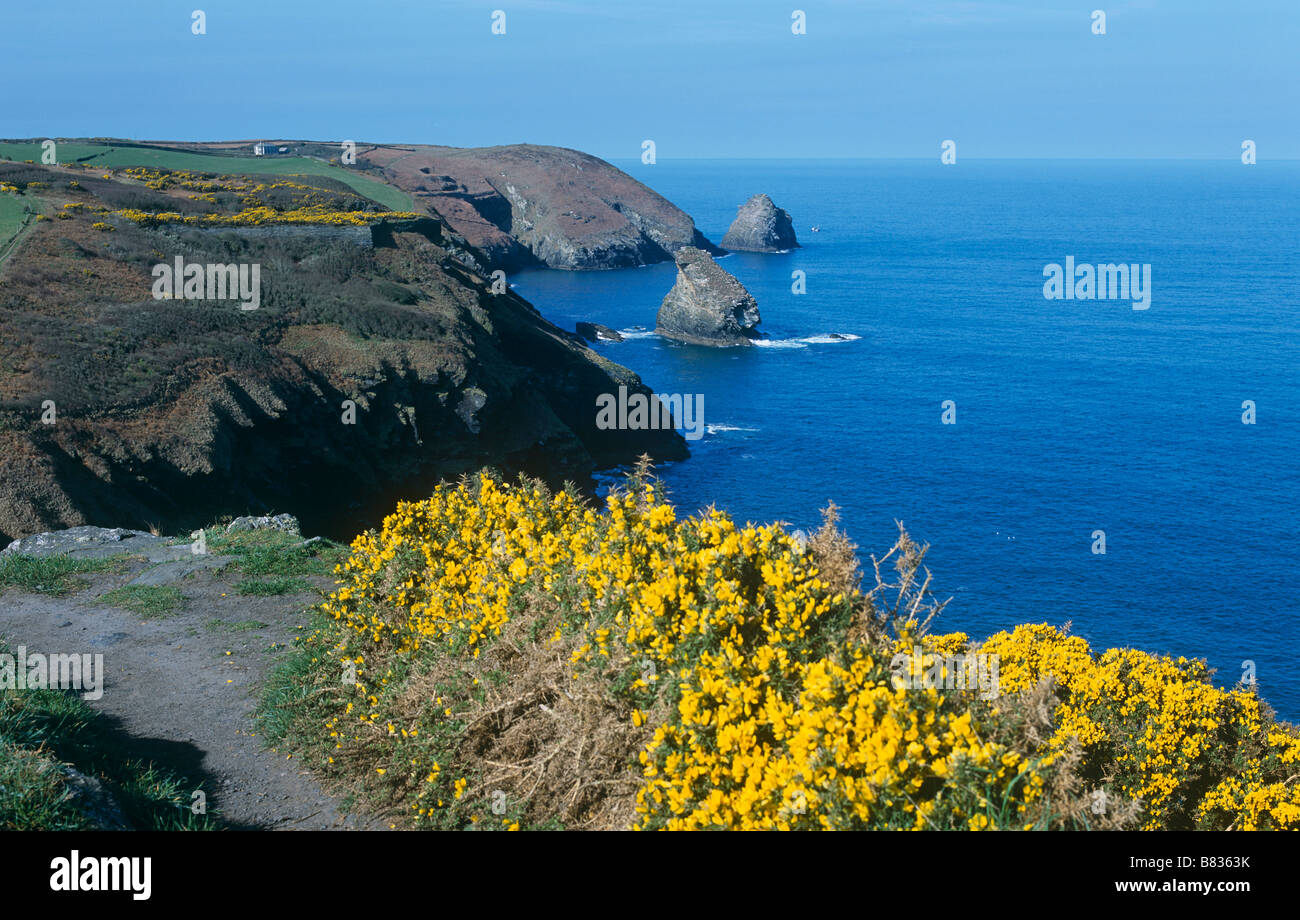Cornish coastal scene hi-res stock photography and images - Alamy