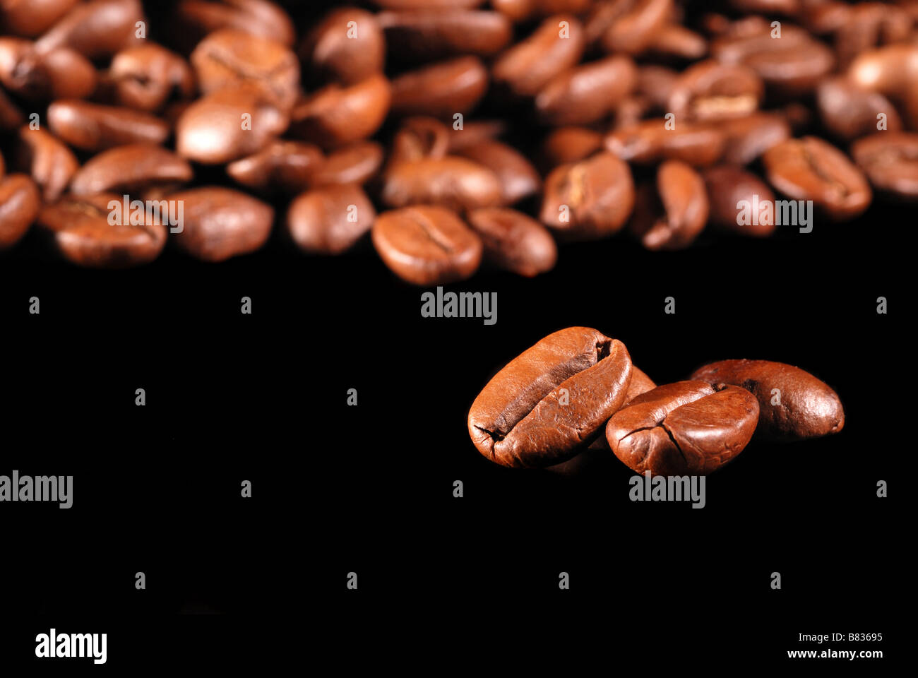 Coffee background Perfect coffee grains High detail Stock Photo - Alamy