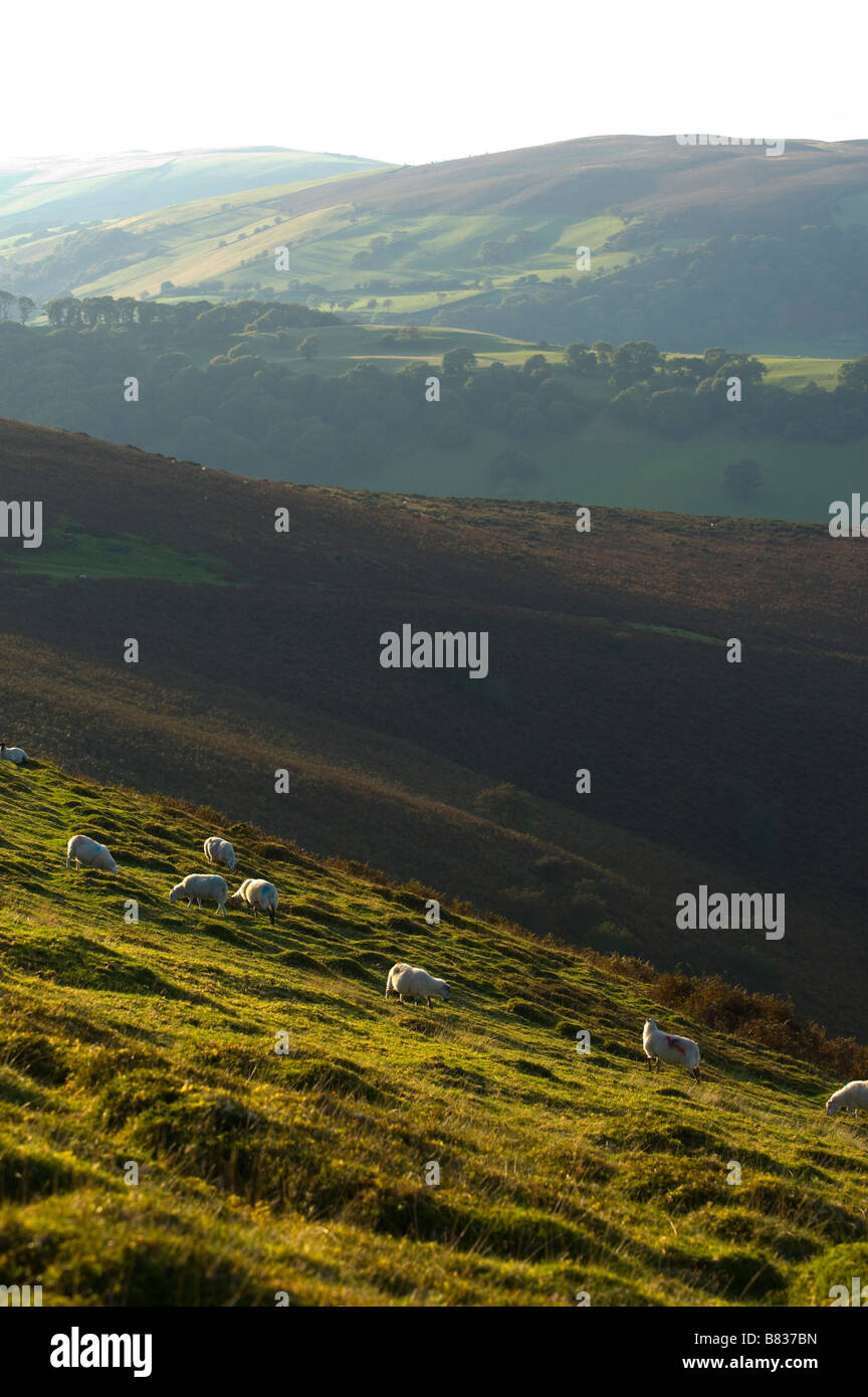 Welsh wales powys hi-res stock photography and images - Alamy