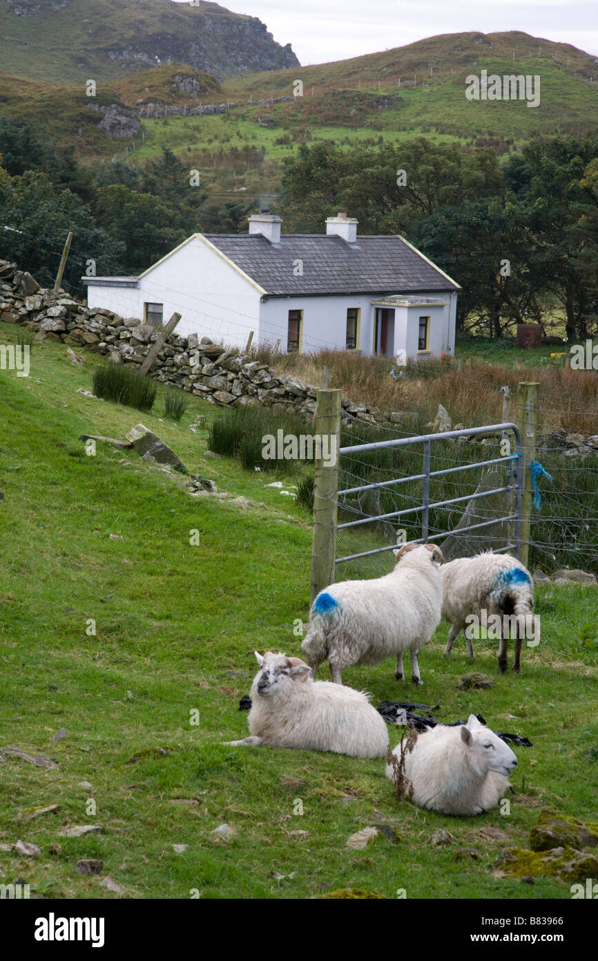 Irish Countryside scene Bunbeg Near Slieve League Stock Photo - Alamy