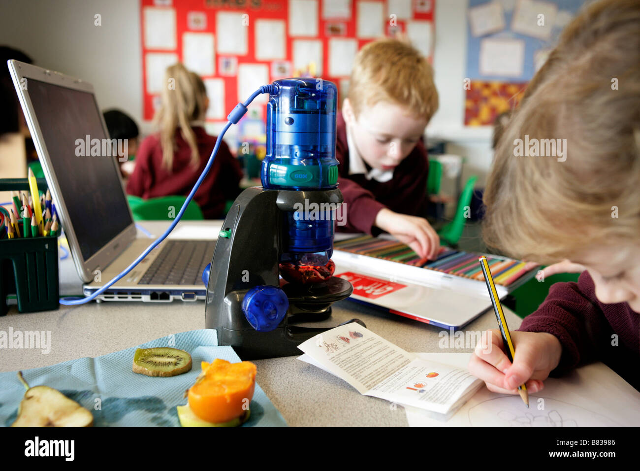 primary school pupils using laptop computers in classroom Stock Photo ...