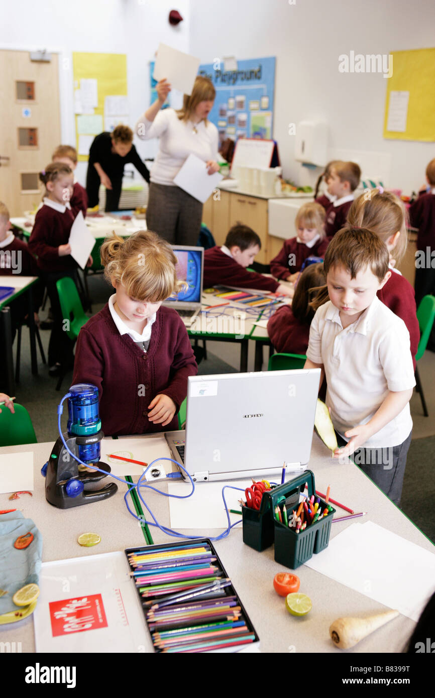 Primary school pupils using computers hi-res stock photography and ...