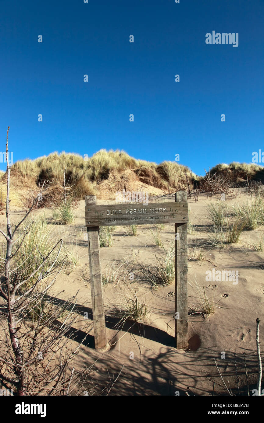 Coastal dune restoration hi-res stock photography and images - Alamy