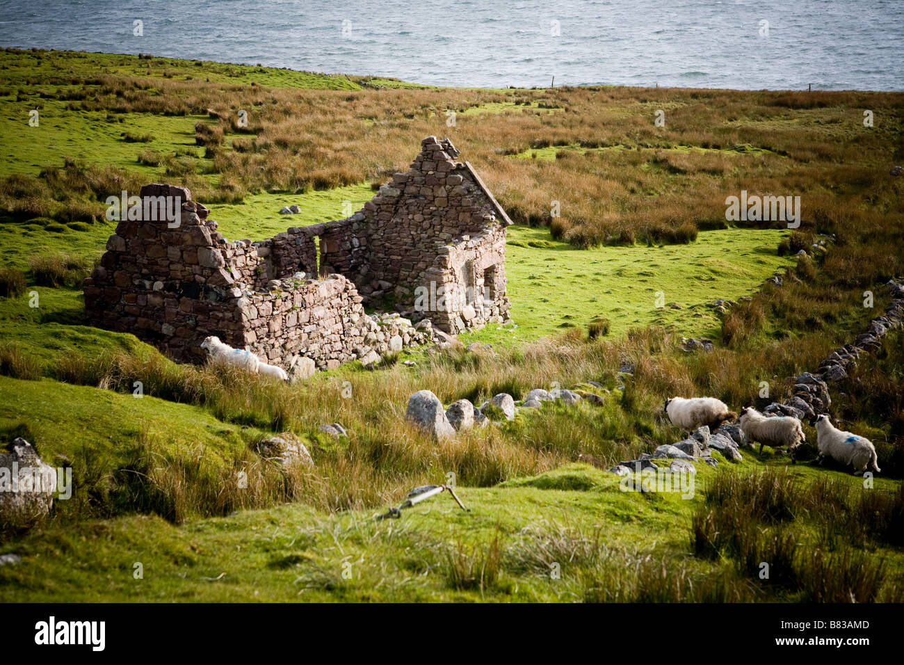 Melvaig Wester Ross Scotland Stock Photo - Alamy