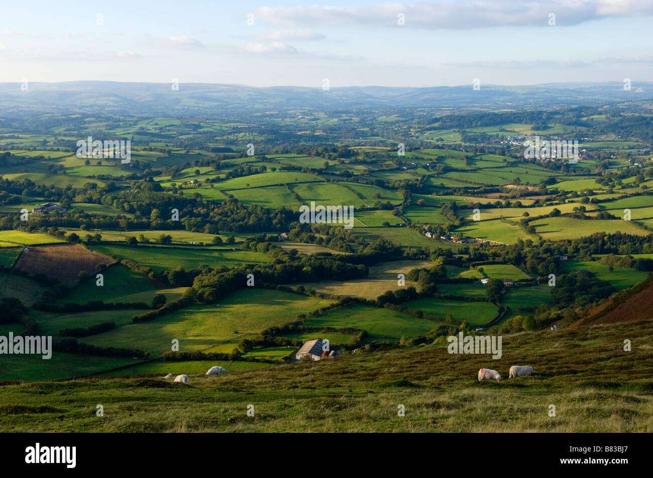 Farming wales hi-res stock photography and images - Alamy