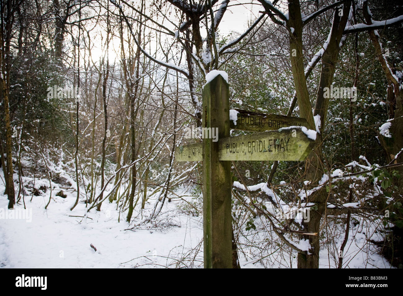 Woodland pathway signage hi-res stock photography and images - Alamy