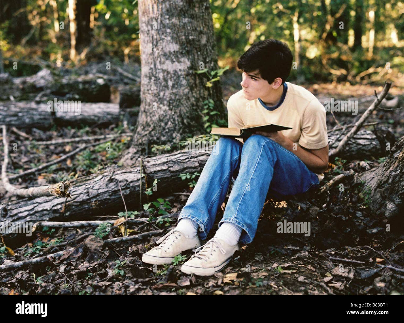 Stephan Bender Dream Boy