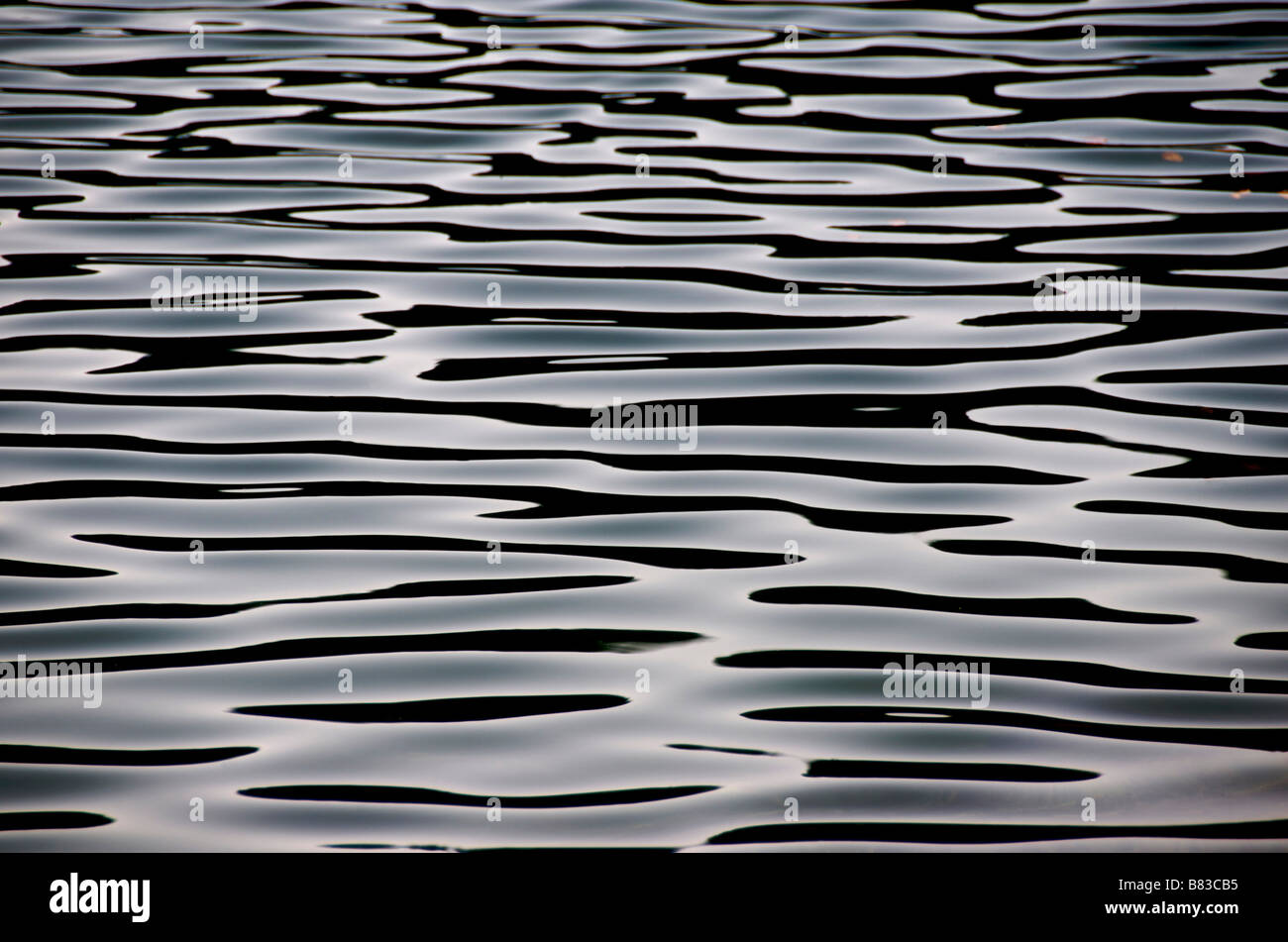 Water ripples on a lake hi-res stock photography and images - Alamy