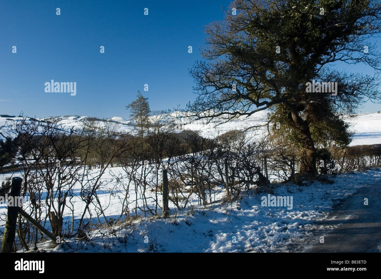 Snow covered field and mountains (UK Weather Stock Photo - Alamy