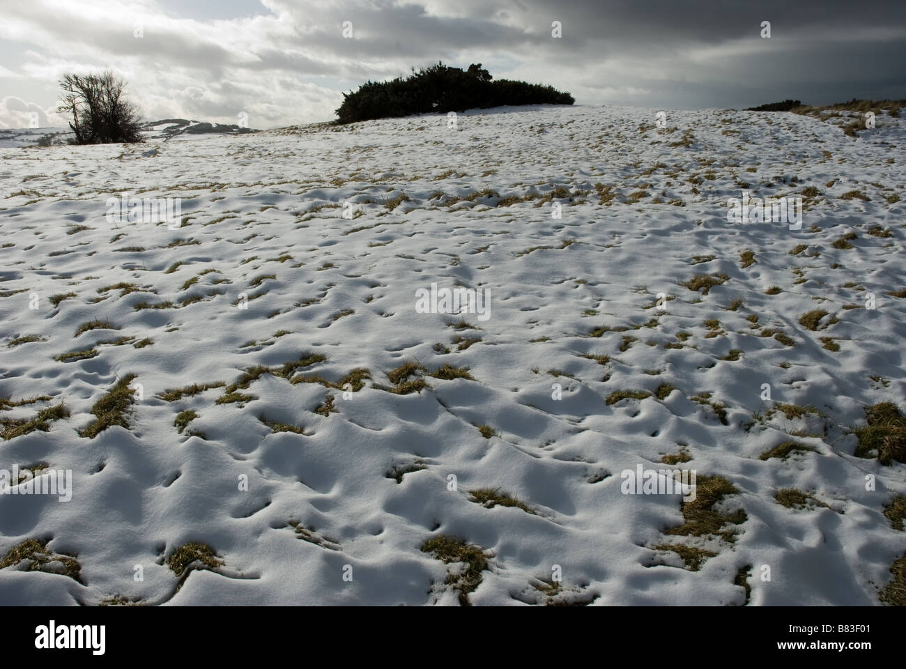 Snow covered field Stock Photo - Alamy