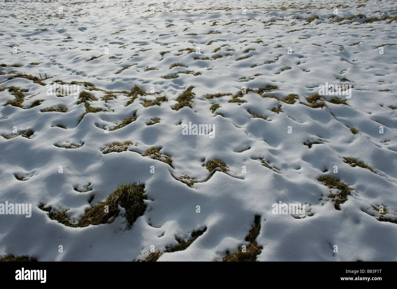 Ice with snow drifts hi-res stock photography and images - Alamy