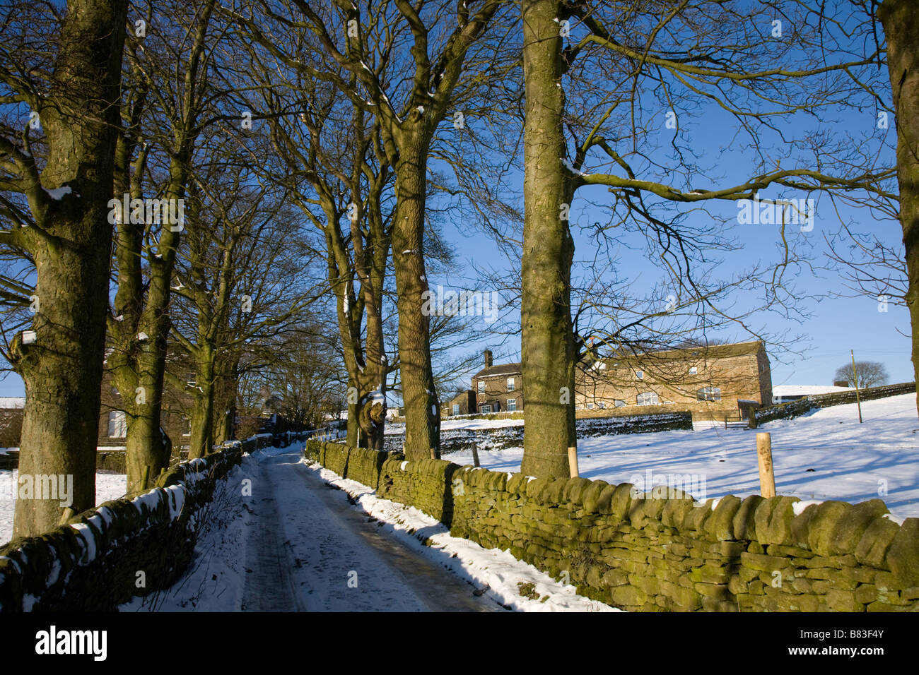 A snowy lane, clear blue sky and farm buildings in Oakworth, West ...
