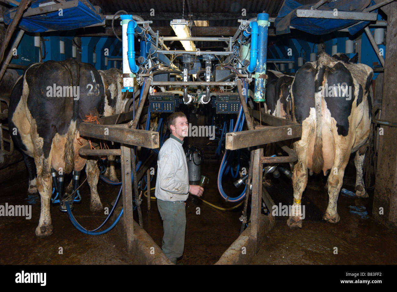 Milking machine hi-res stock photography and images - Alamy