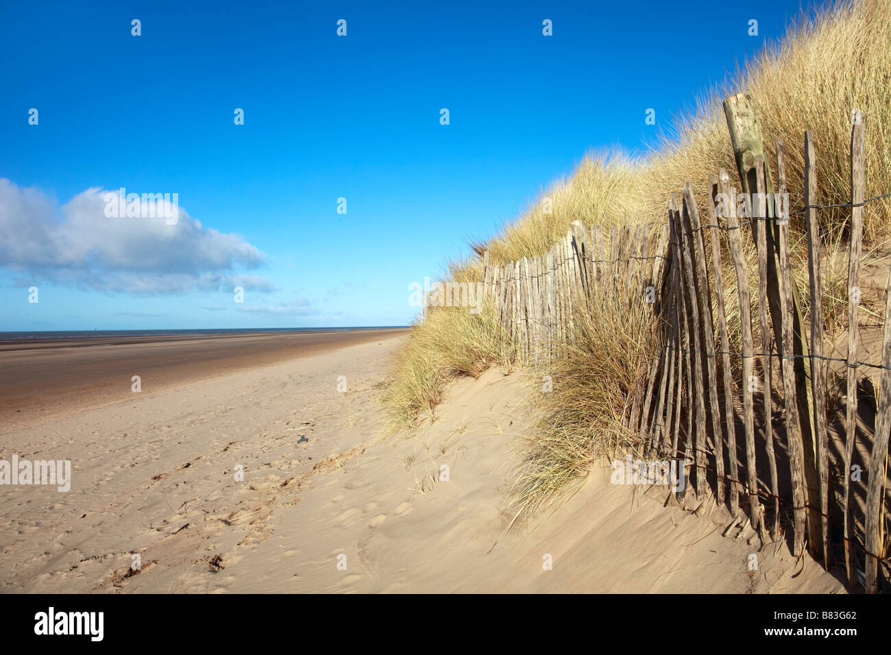 Coastal Dune Restoration High Resolution Stock Photography and Images ...
