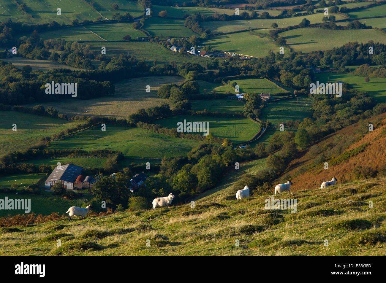 Powys Mid Wales United Kingdom Europe Stock Photo - Alamy