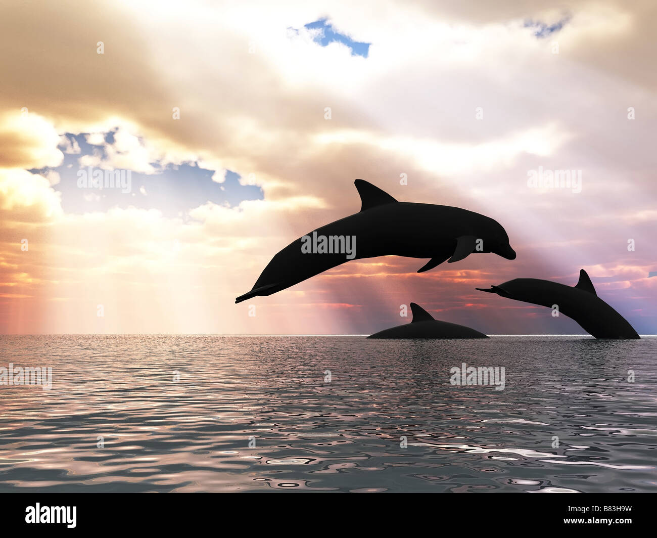 Three dolphins floating at ocean control light Stock Photo - Alamy
