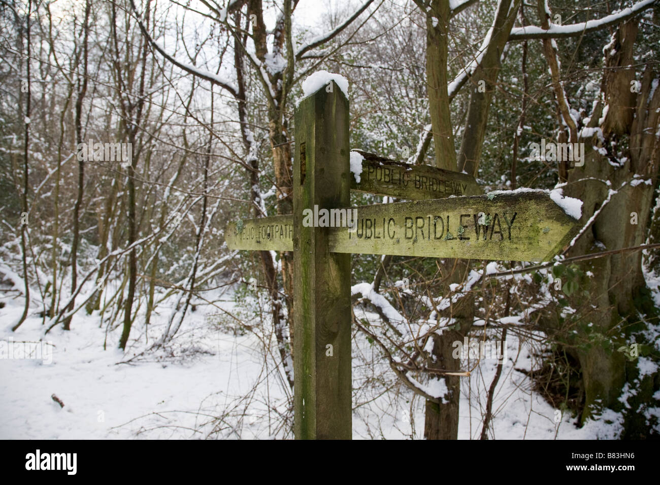 Woodland pathway signage hi-res stock photography and images - Alamy