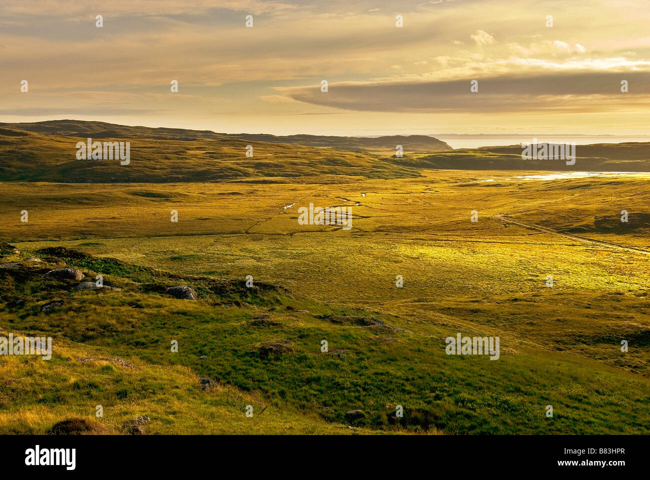 Volcanic heath hi-res stock photography and images - Alamy
