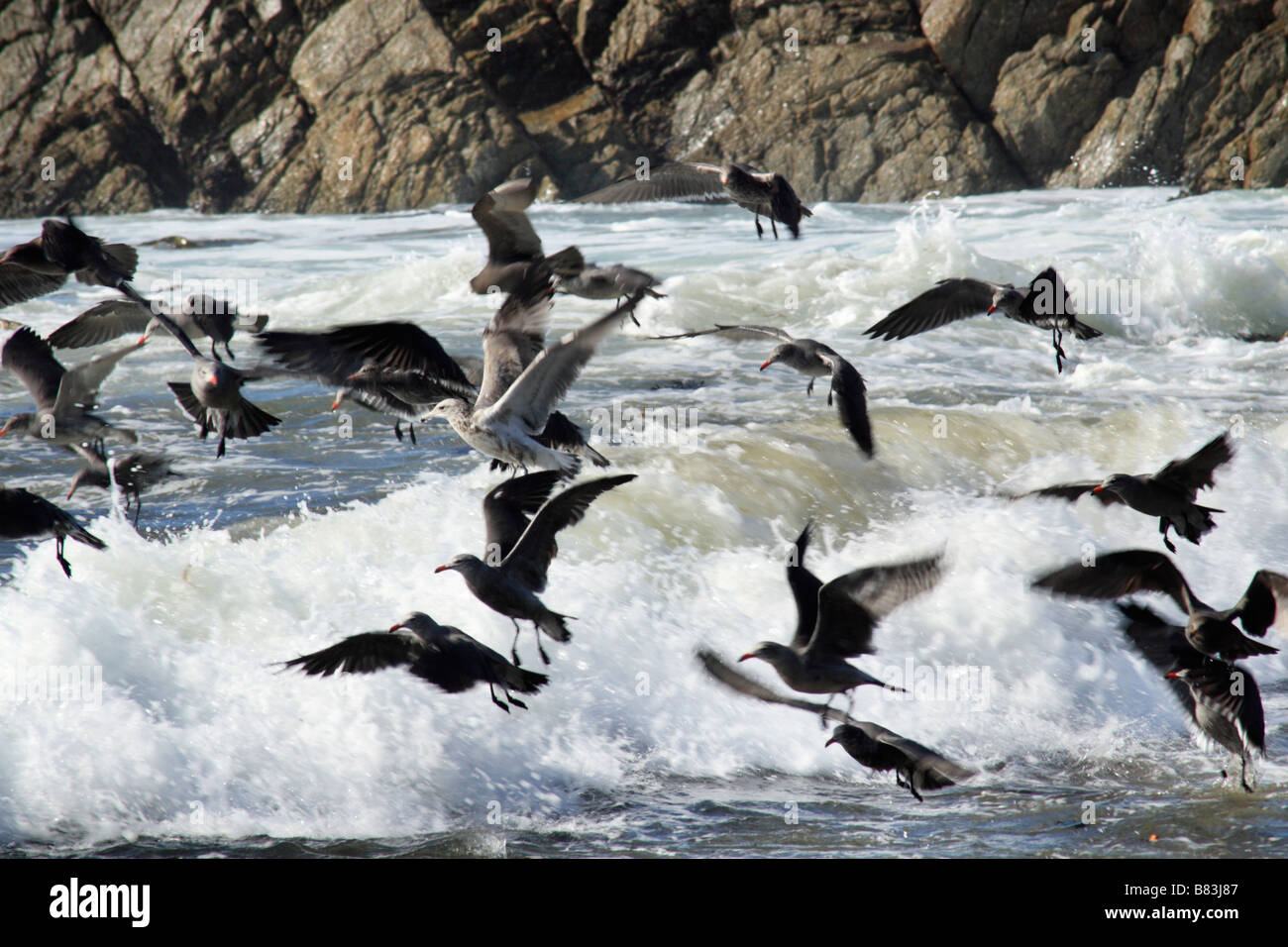 Peinisula hi-res stock photography and images - Alamy